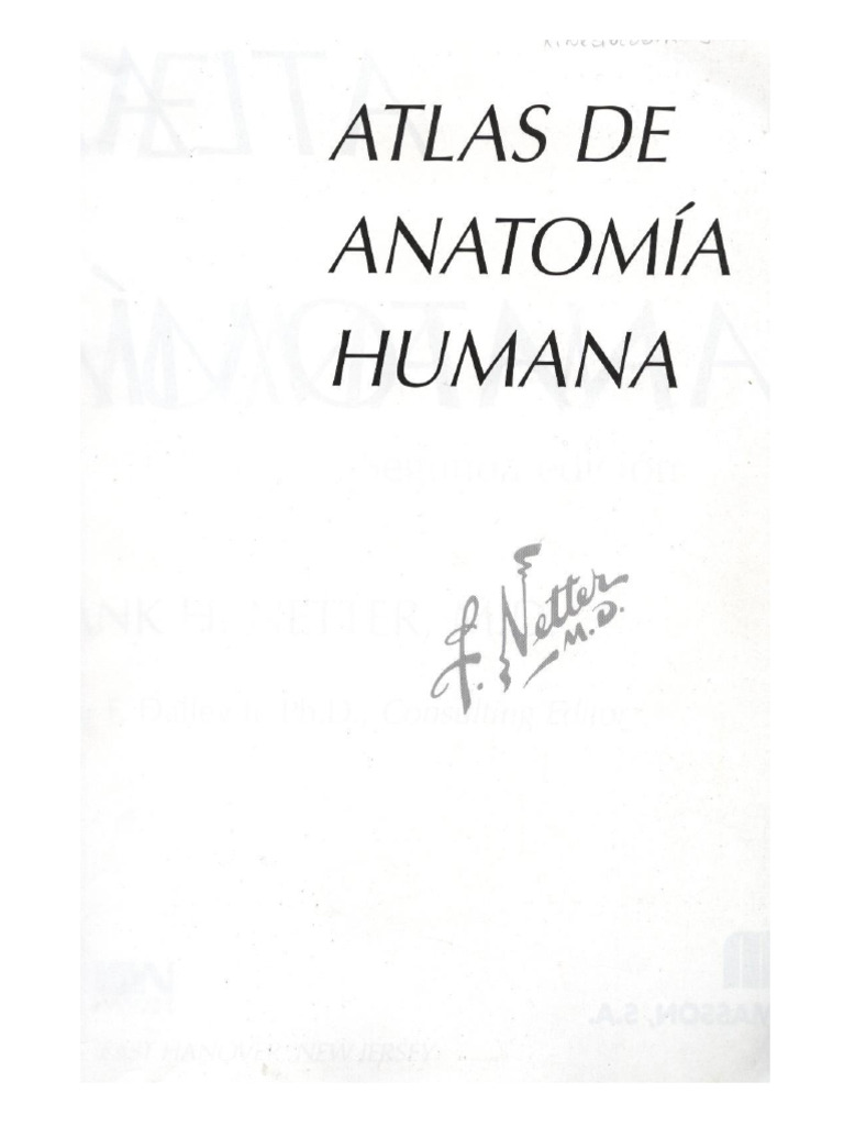 atlas de anatomia humana de netter | PDF