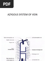 Understanding Batson's Plexus Anatomy | PDF | Vertebra | Vein