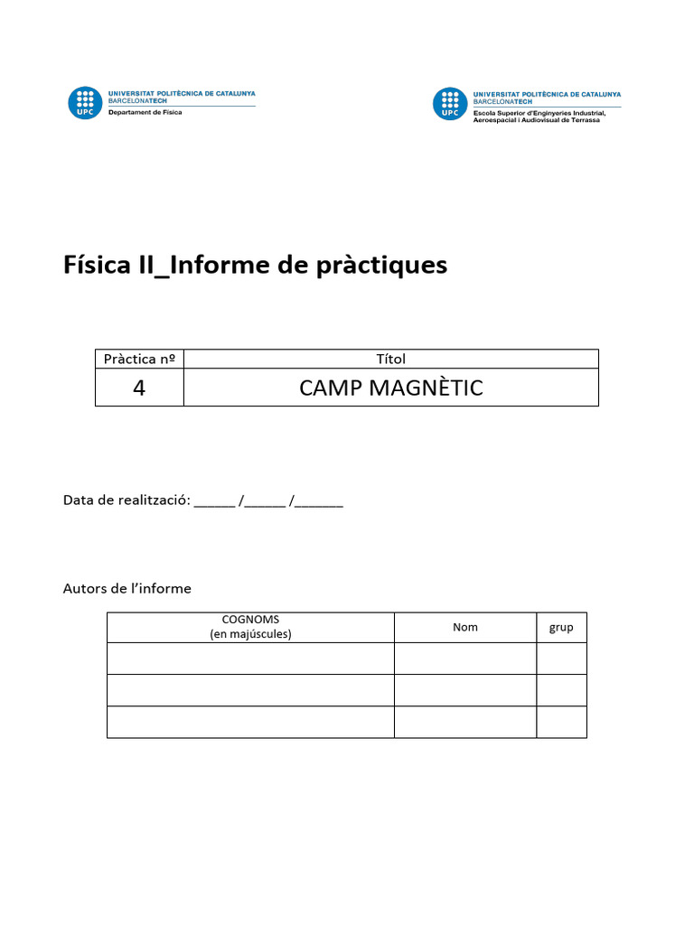 P4 - CAMP MAGNETIC - Informe | PDF