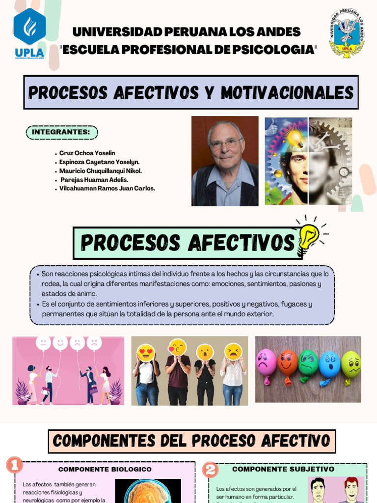 Procesos Afectivos y Motivacionales | PDF | Las emociones | Sensación
