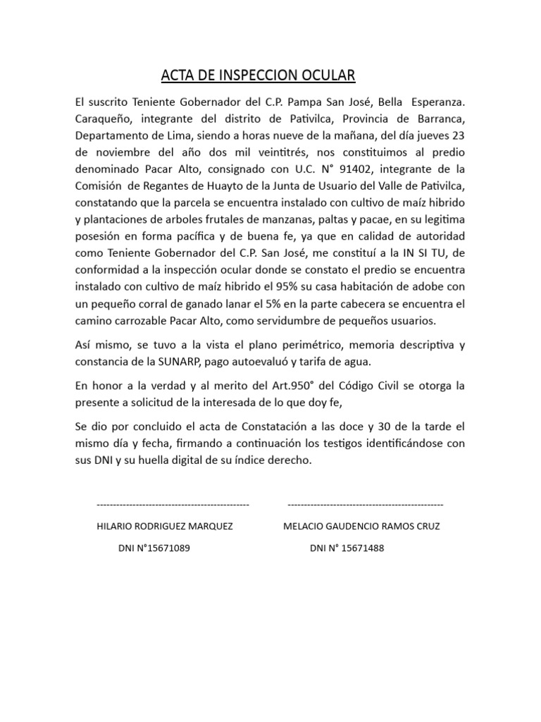 ACTA DE INSPECCION OCULAR | PDF