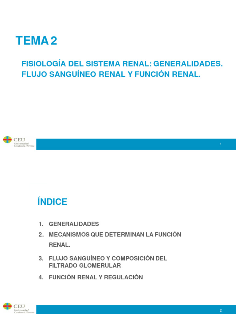 TEMA 2. Fisiología Del Sistema Renal - Generalidades y Función Renal | Descargar gratis PDF ...