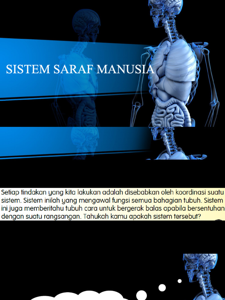 SC - Sistem Saraf Manusia | PDF