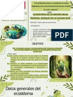 Ficha de Trabajo - Sabana Humeda Con Palmeras | PDF | Ecosistema | Sabana