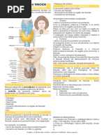 L08 - Escala de Tanner Feminina | PDF | Puberdade | Infância