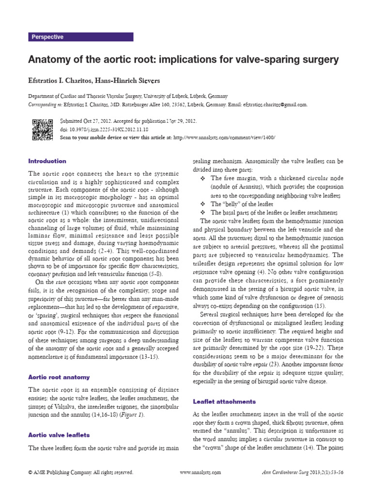 Anatomi Aortic Root | PDF | Aorta | Heart Valve