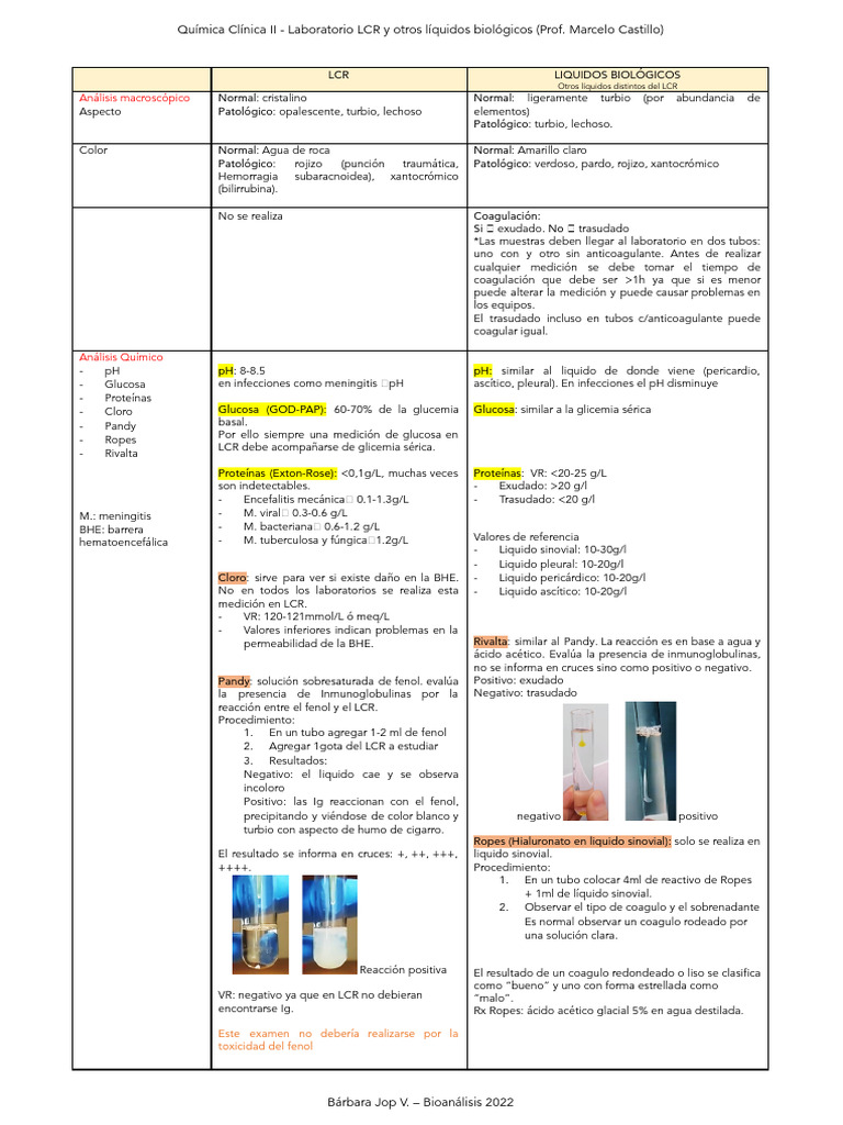 Resumen Lab LCR y Otros Liquidos Biologicos | PDF | Medicina CLINICA | Especialidades Medicas
