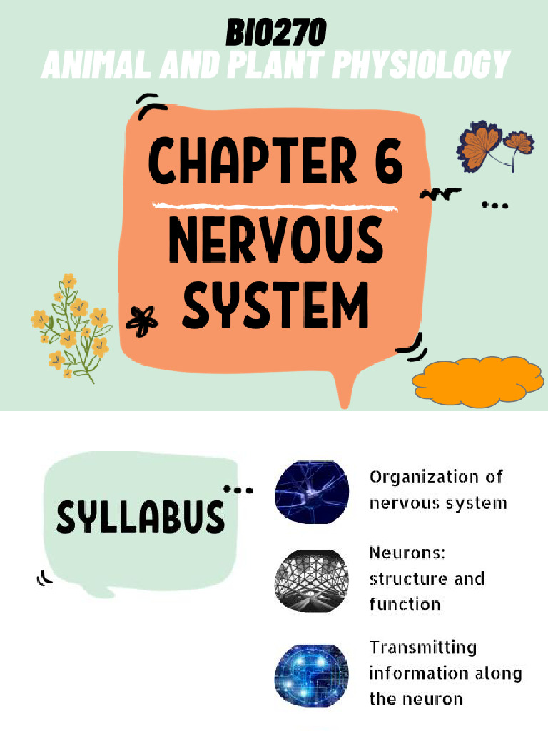 Chapter 6 Nervous System | PDF | Chemical Synapse | Nervous System