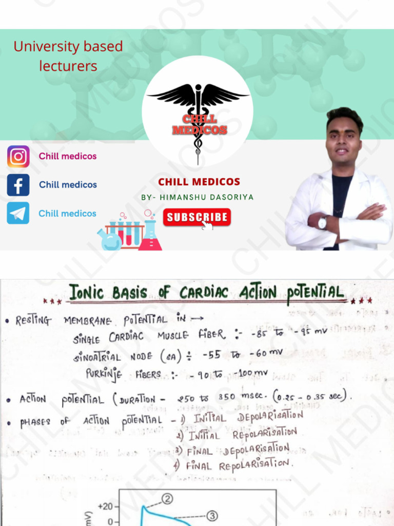 Cardiovascular System Physiology Notes | PDF