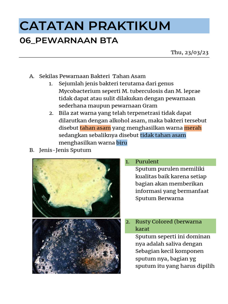 Prosedur dan Interpretasi Pewarnaan BTA | PDF