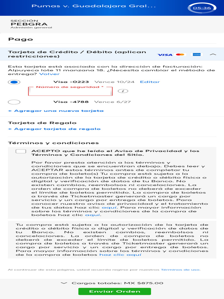 Ticketmaster Pago | PDF