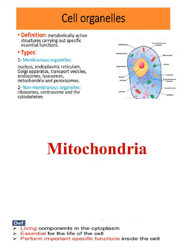 Cell Organells | PDF
