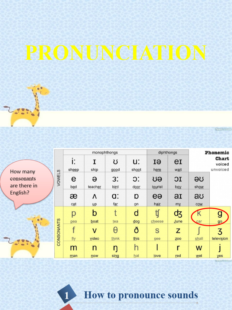 IPA 18 | PDF | Consonant | Languages
