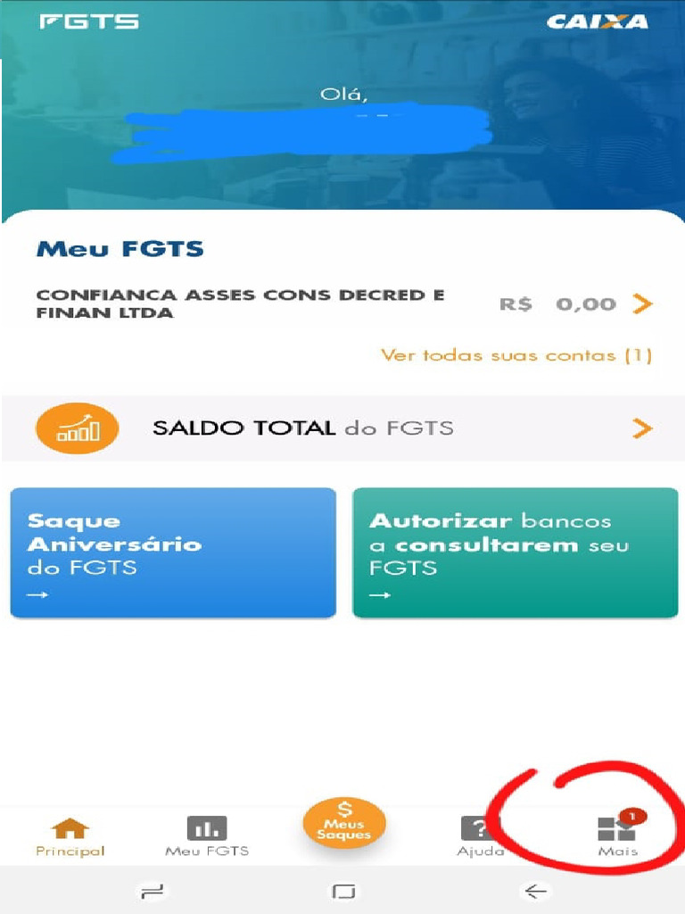 Passo A Passo - Fgts - Liberacao | PDF