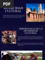 Mapa Conceptual Diversidad Cultural | PDF | Interculturalidad | Educacion Cultural