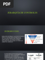 La Pirámide Del Control de Riesgos | PDF | Riesgo | Solvente