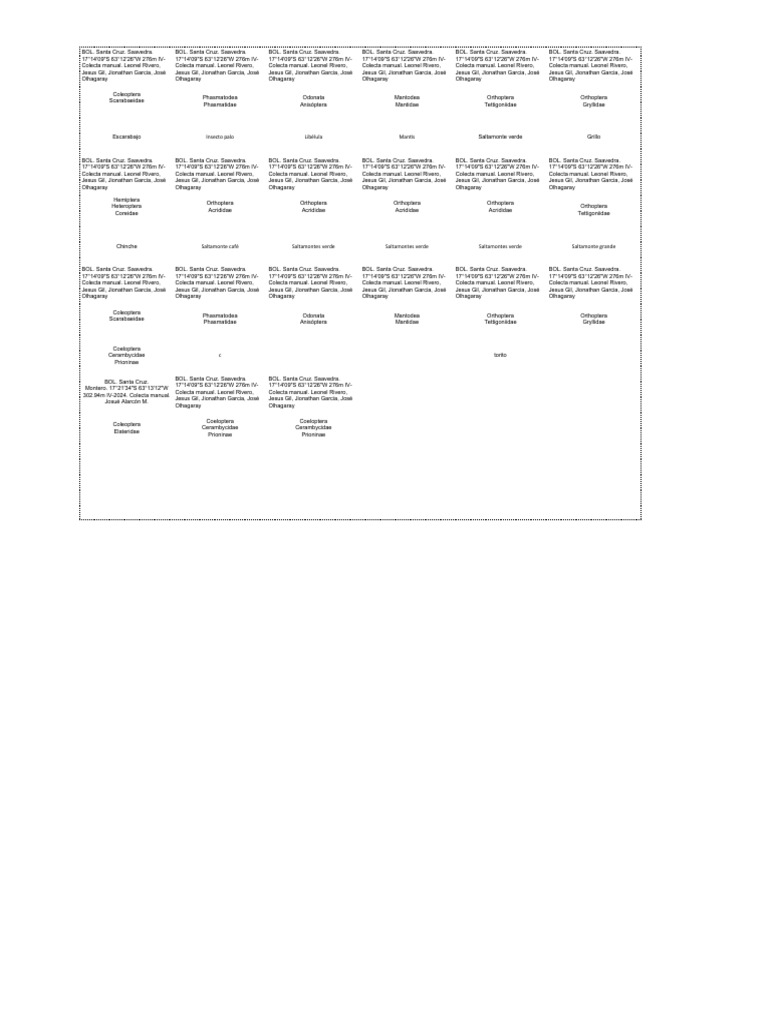 Etiquetas Ento | PDF | Taxonomía de insectos | Insectos y humanos