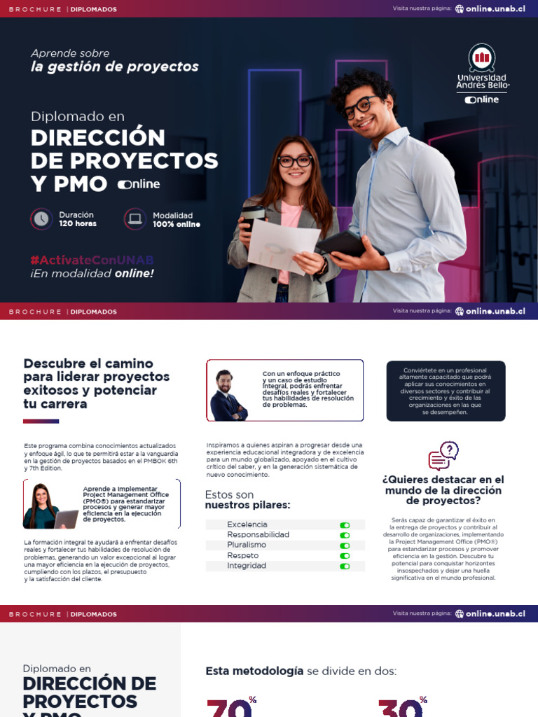 Brochure PMO Desk | PDF | Negocios