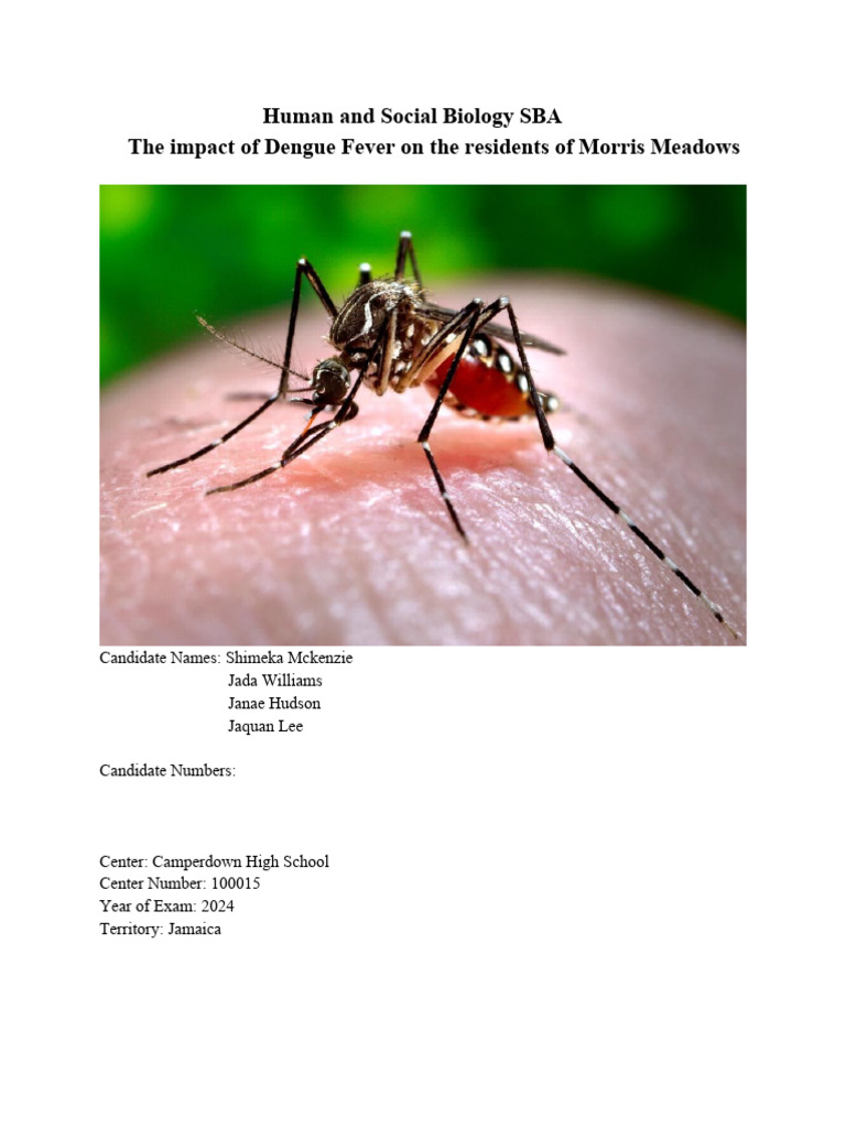 Option 6 HSB Sba (Group 1 New | PDF | Clinical Medicine | Health Sciences