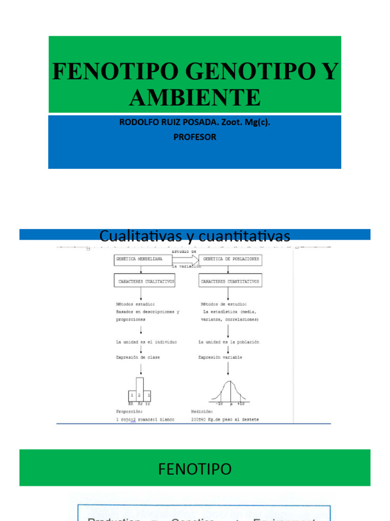 Fenotipo Genotipo y Ambiente | PDF | Genotipo | Fenotipo