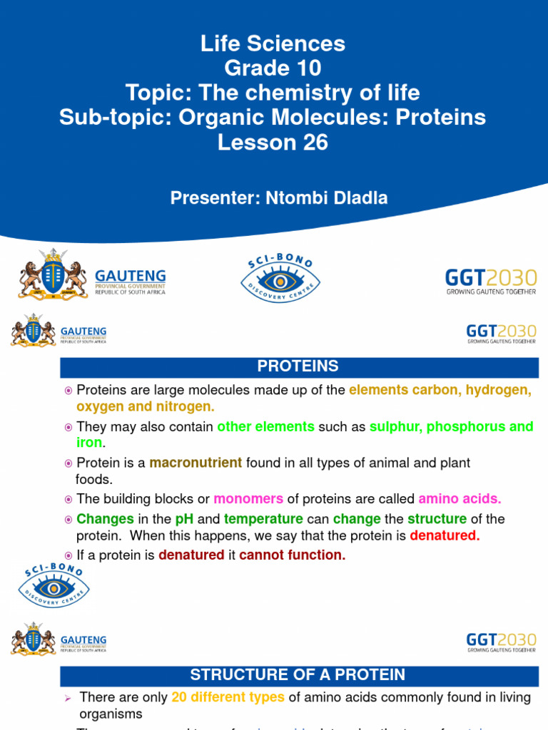 Proteins: Key Concepts for Grade 10 | PDF | Proteins | Amino Acid