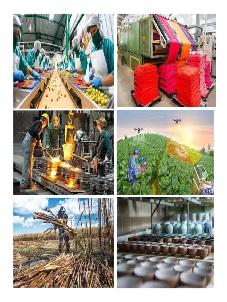 Tipos de Industrias | PDF