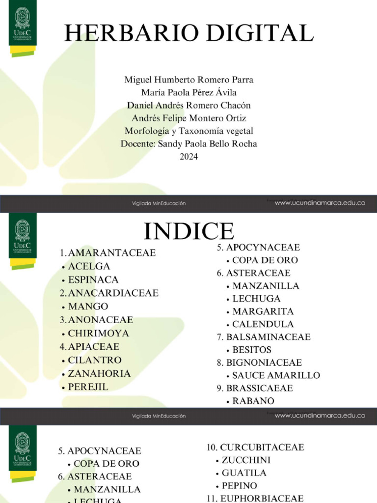 Herbario Digital | PDF