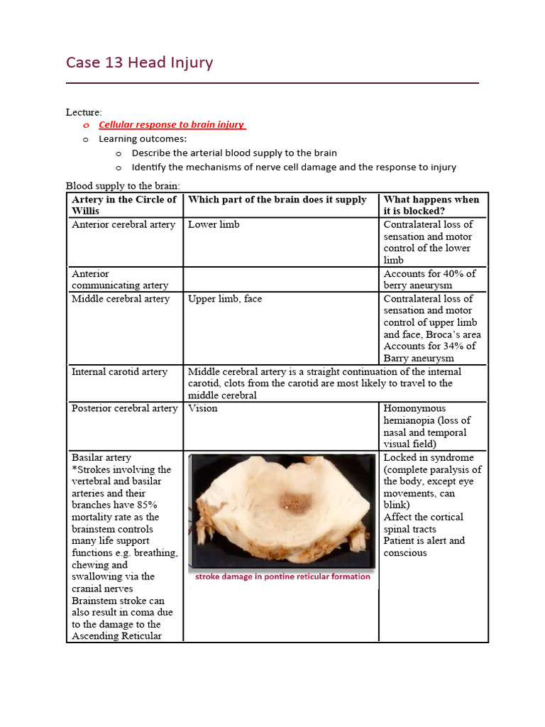 Case 13 Head Injury | PDF | Cerebrospinal Fluid | Apoptosis
