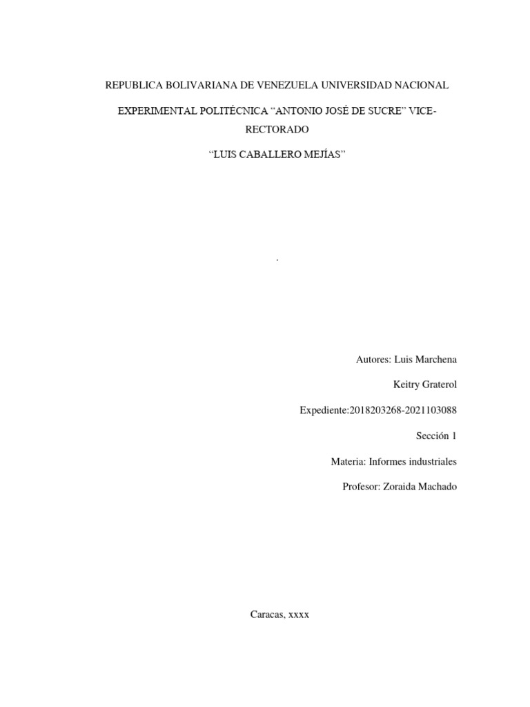 borrador capitulo 1 y 2 informes | PDF | Business | Economias