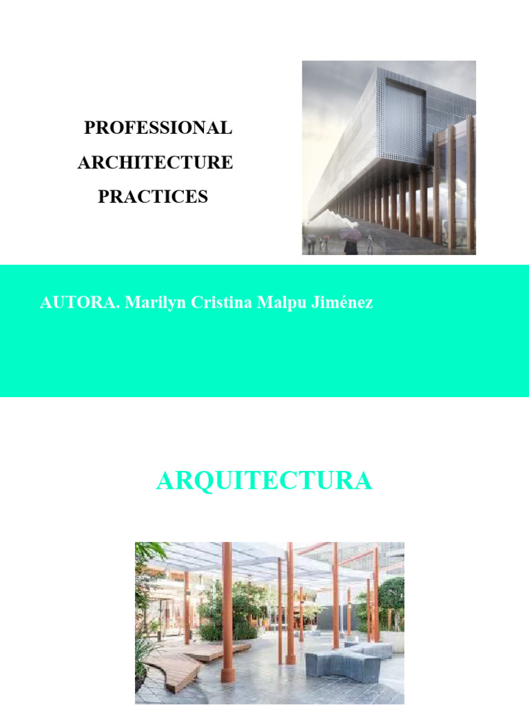 Proffesional Architecture Practices | PDF | Sustentabilidad | Arquitecto