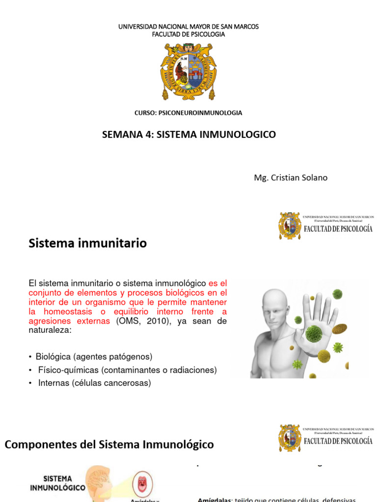 Semana 4 Sistema inmunologico | PDF | Sistema inmune | Sistema inmune innato