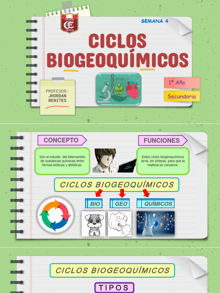 Ciclos Biogeoquímicos | PDF | Ciencia y matemáticas