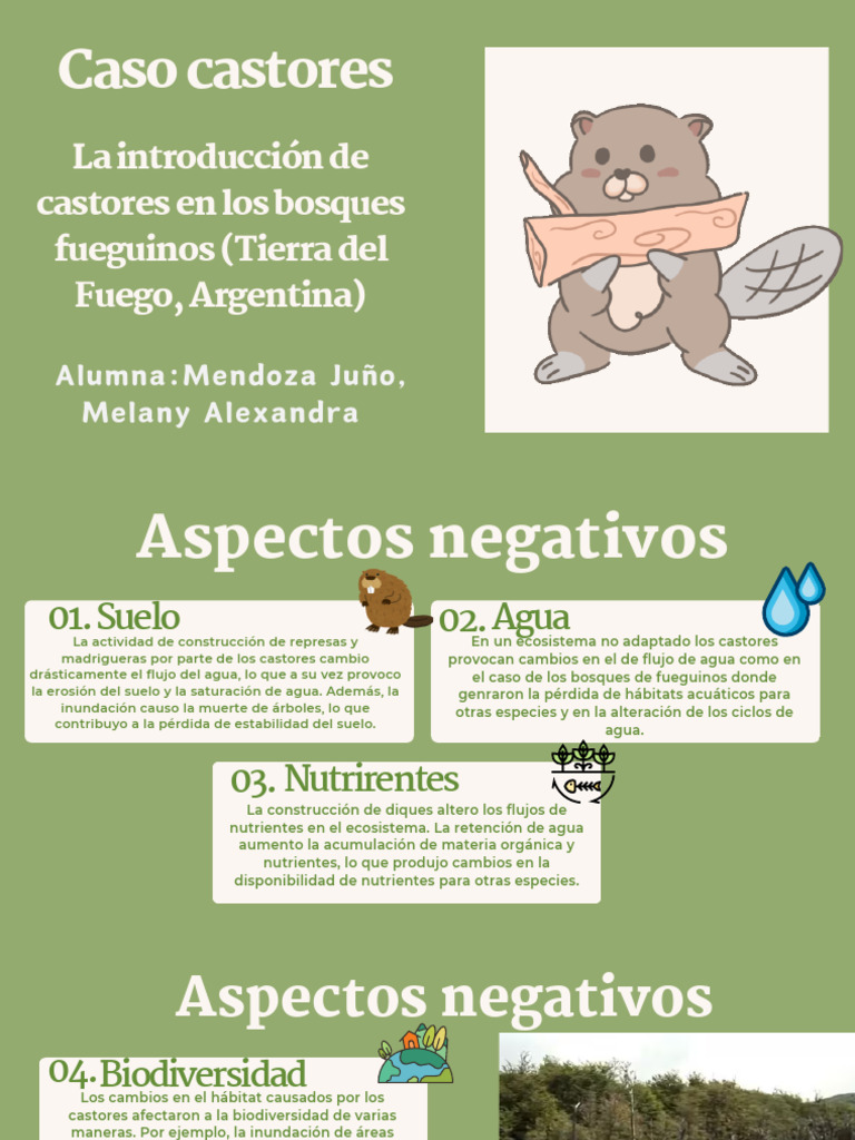 Caso Castores Melany | PDF | Castor | Los bosques