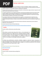 Informe 100 Plantas Medicinales Selva Peruana | PDF