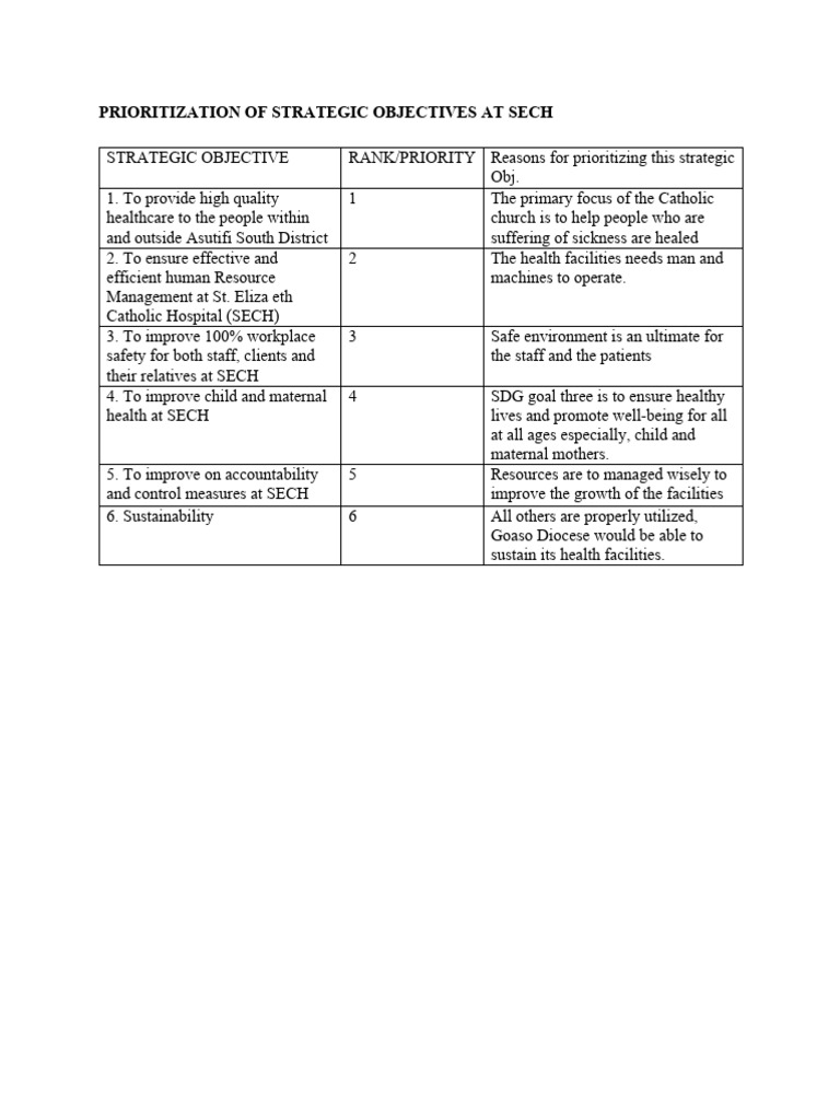 Strategic Objectives Prioritization at SECH | PDF