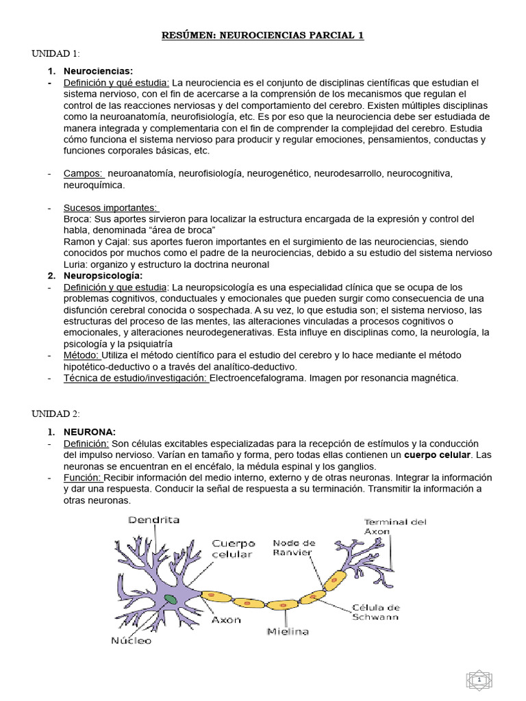 Resúmen de Neurociencias | PDF | Cerebro | Neurona