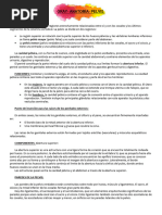 Cavidad Pelvica Pdf Pelvis Anatomía Humana