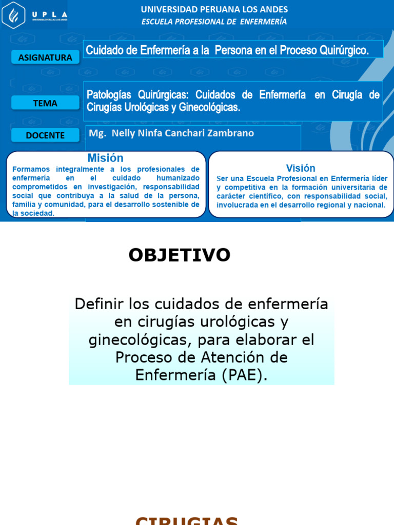 16 Clase Teoria Patología Urológica y Ginecológica | PDF | Sistema urinario | Cirugía