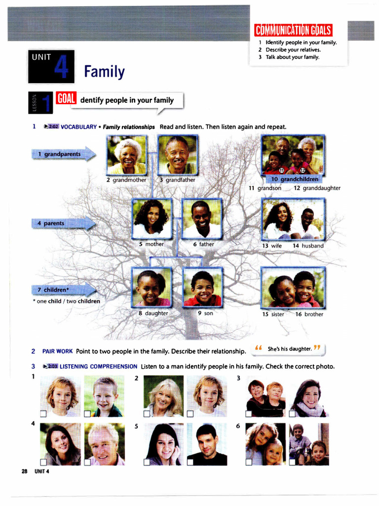 UNIT 4 Family | PDF | Linguistics | Grammar