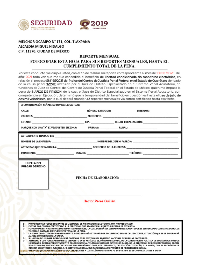 Reporte Libertad Condicionada | PDF | Justicia | Crimen y violencia