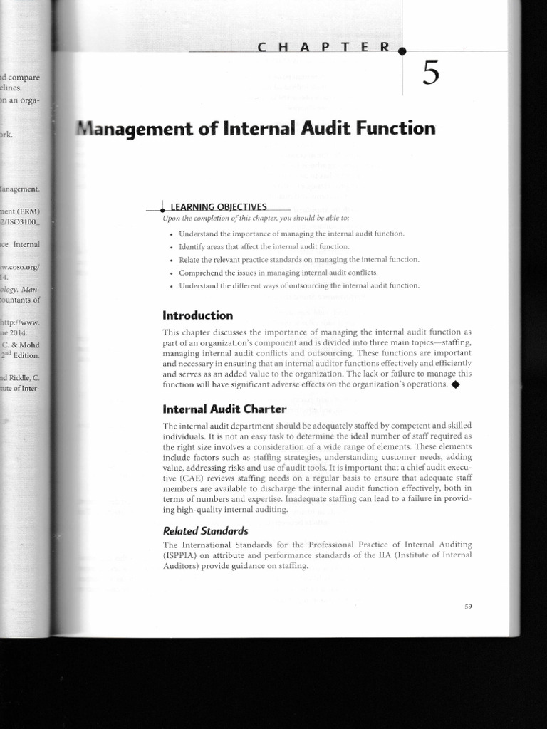 Int Aud Chapter 5 | Download Free PDF | Internal Audit | Audit