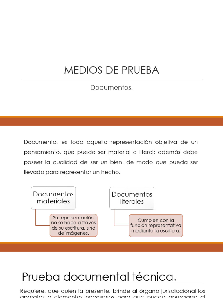 CLASE 15 - PRUEBA DOCUMENTAL | PDF | Gobierno | Justicia