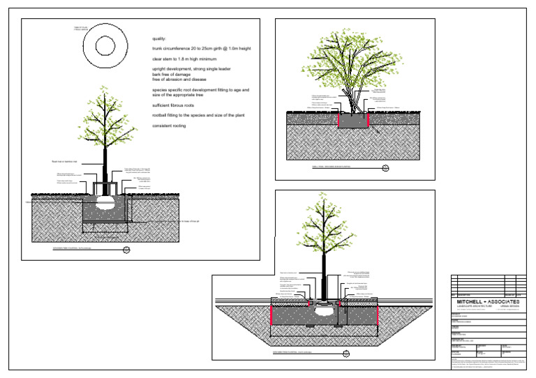 300 Tree Planting | PDF | Trees | Drainage
