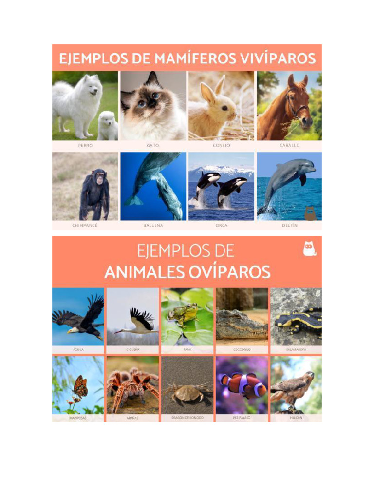 Animales Viviparos y Oviparos | PDF