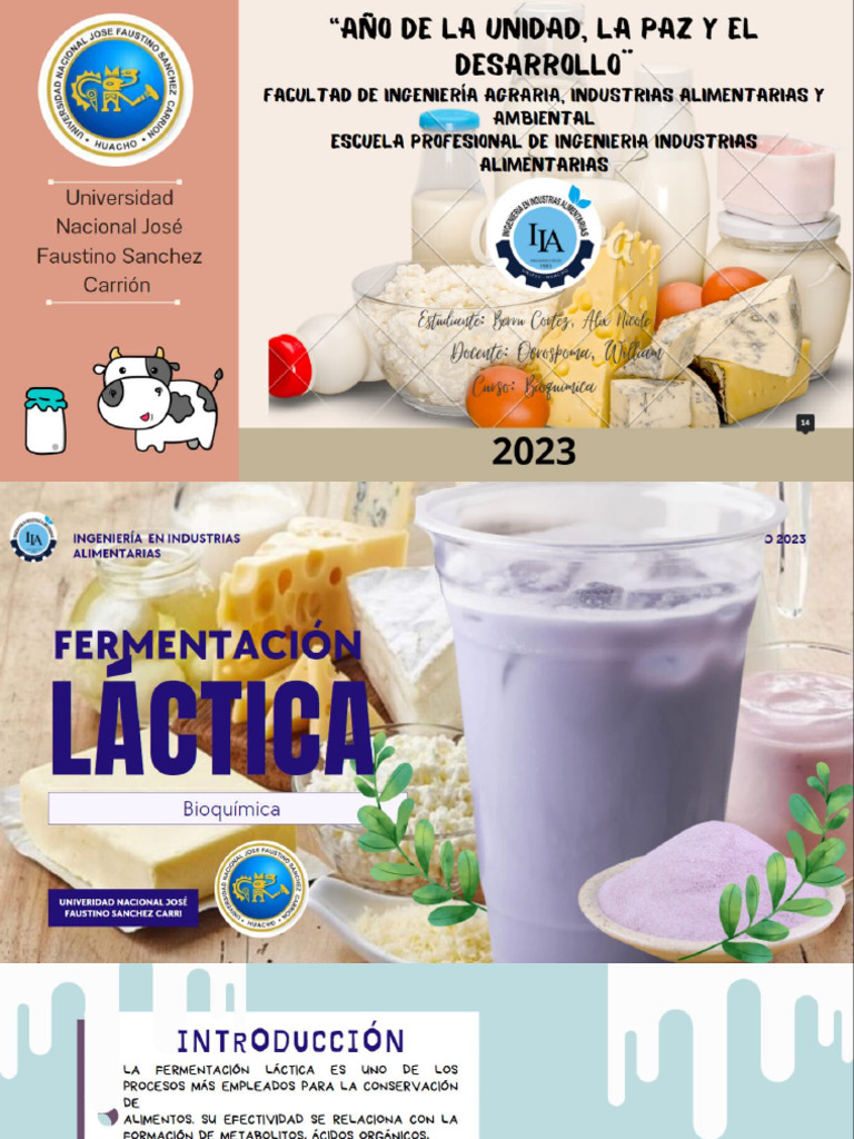 FERMENTACIÓN LÁCTICA ppt | PDF