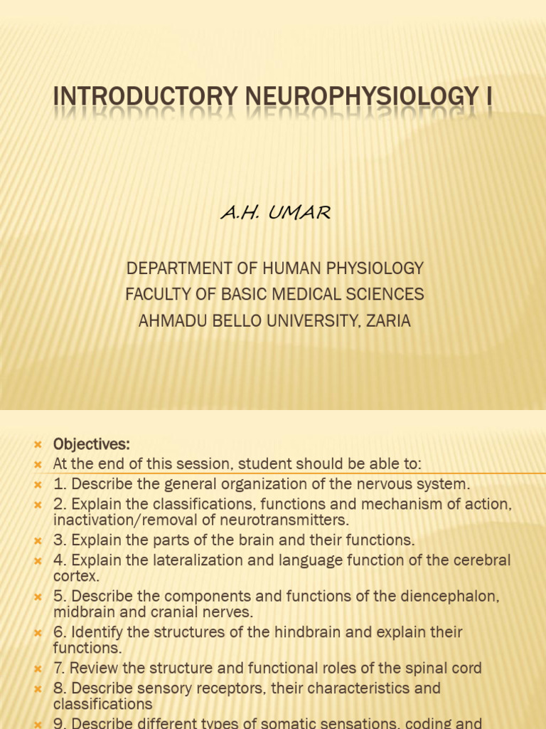 Neurophysiology 300 1 | PDF | Acetylcholine | Brainstem