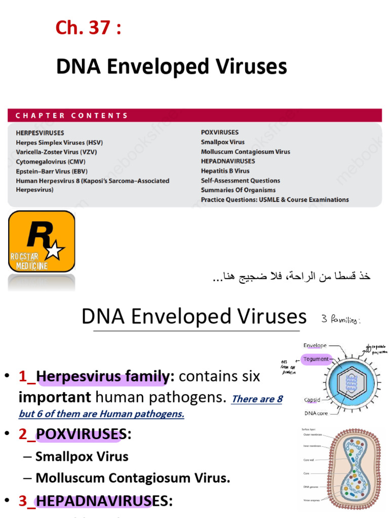 2 - DNA Viruses | PDF | Virus | Immunology