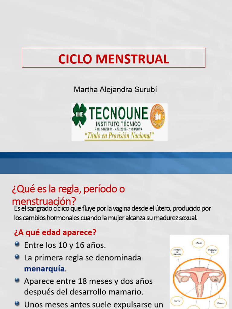 Ciclo | PDF | Menstruación | Ciclo menstrual