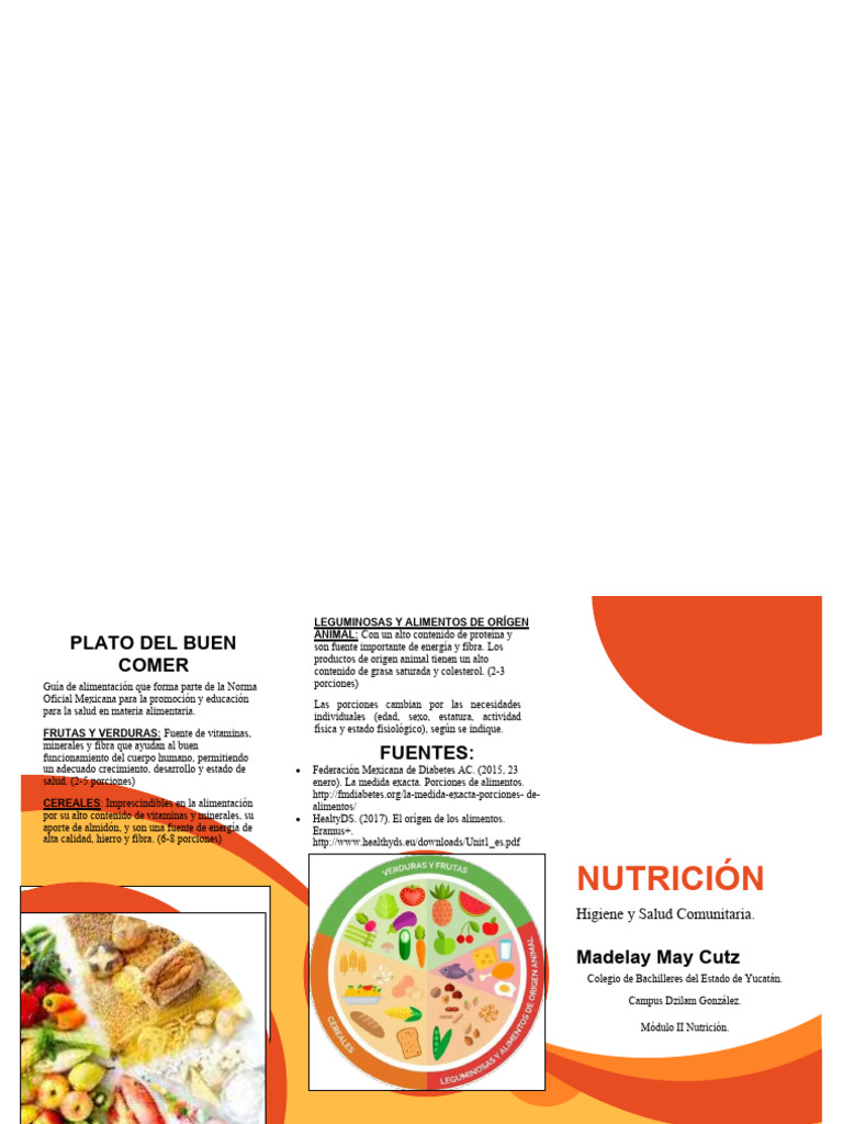 Docsity Triptico de Nutricion Bioquimica I | PDF | Alimentos | Nutrición