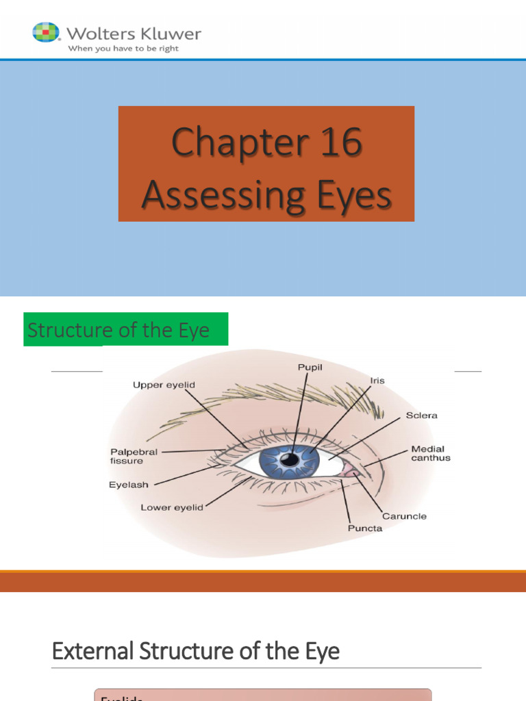 Chapter - 16 Anatomy | PDF | Human Eye | Visual Acuity